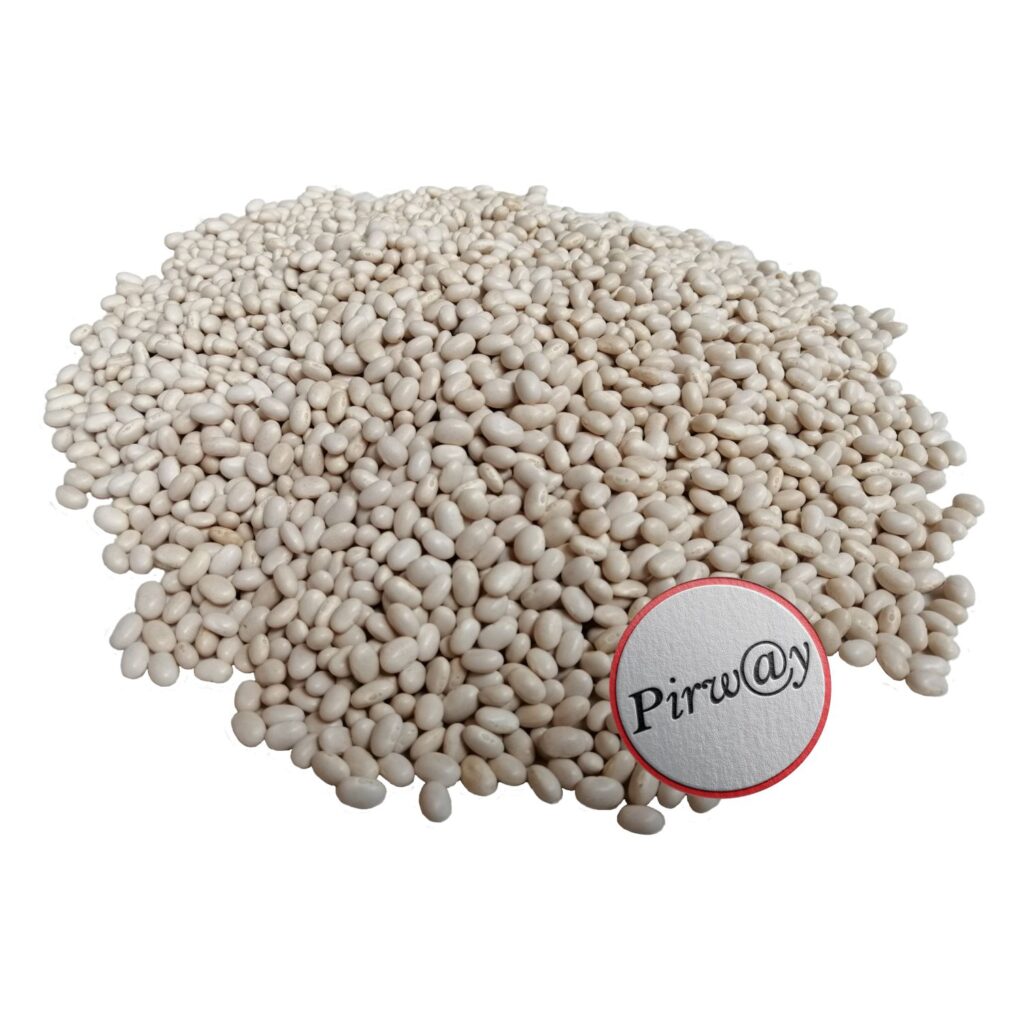 Frijol Panamito – Pirw@y