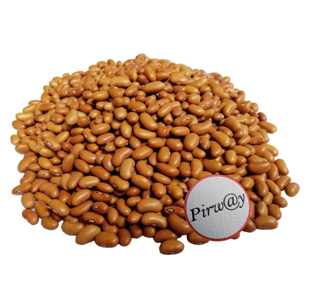 Frijol Panamito – Pirw@y